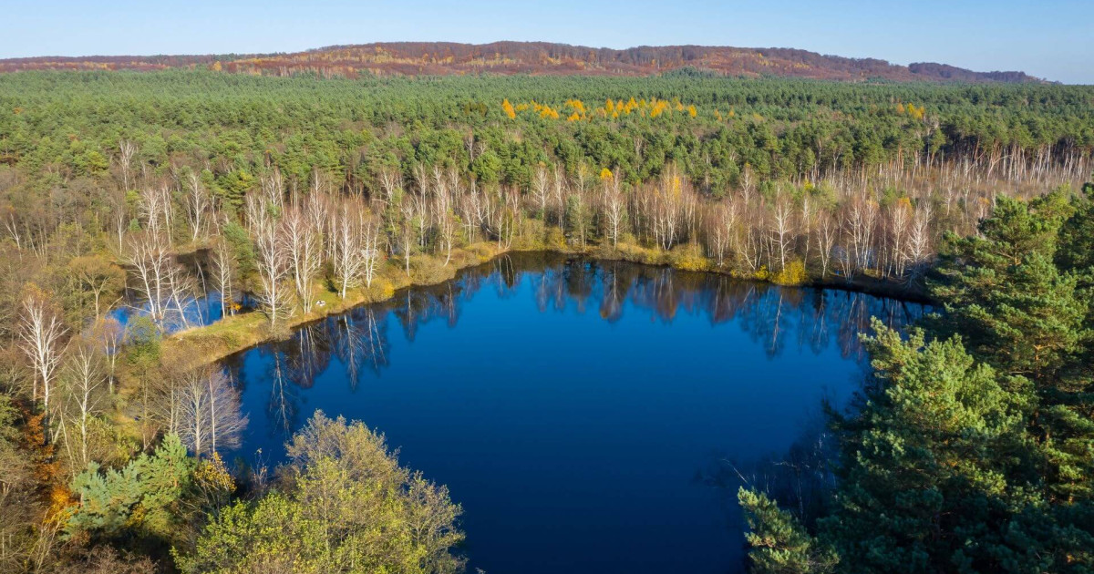 Yavoriv National Nature Park | lviv.travel